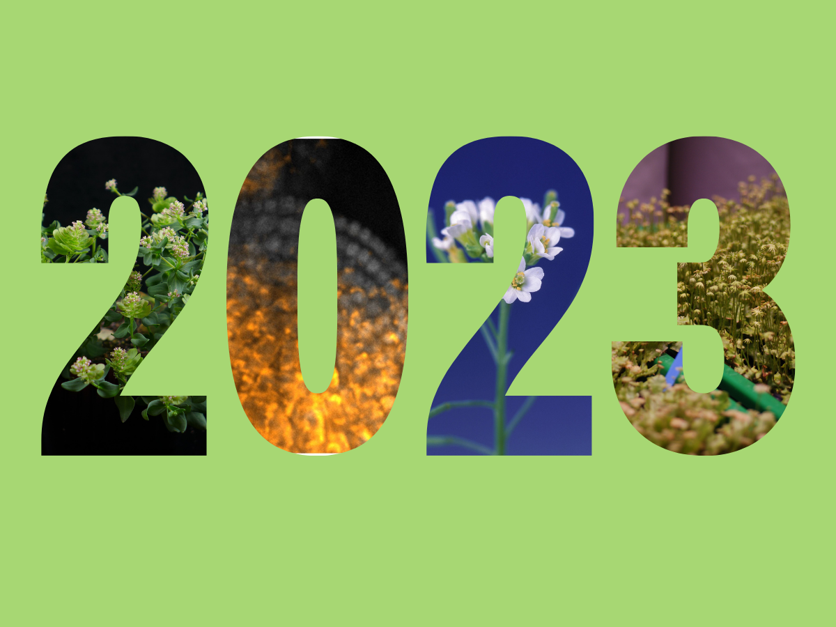 Discoveries in 2023