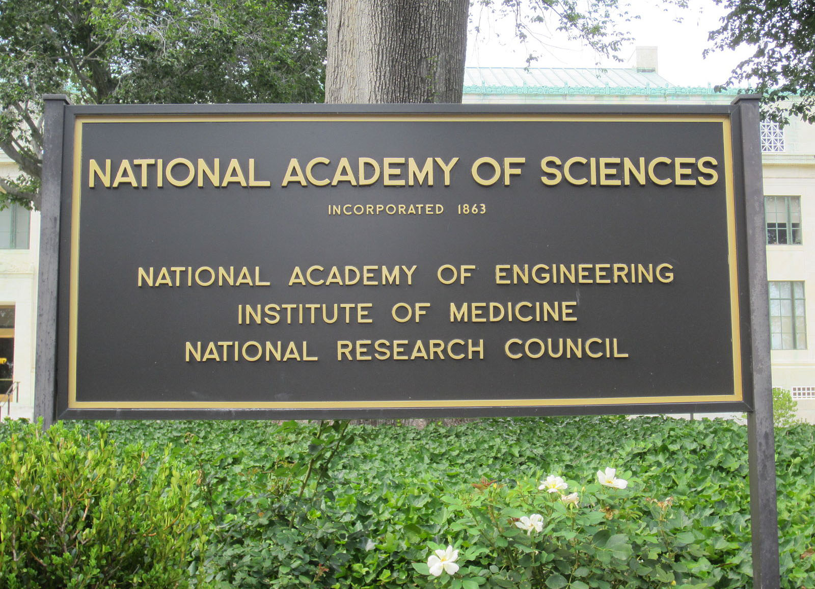 ÖAW-Mitglieder Elly Tanaka & Kim Nasmyth in National Academy of ...