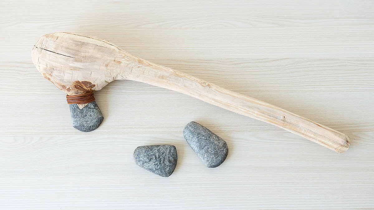 Archaeological Experiments with Greenstone Axes on Tree, Pig and Stone